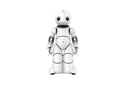 FIBRIX 斐博睿 - 领先的科技服务提供商